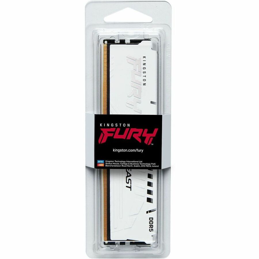 Kingston FURY Beast 16GB DDR5 SDRAM Memory Module – LTT Partners