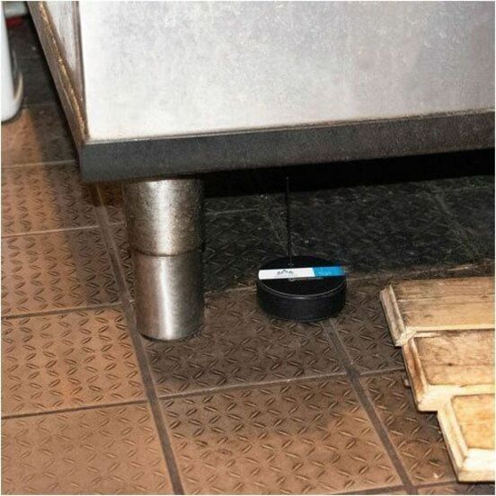 Monnit Wireless Water Detection Puck Sensor – LTT Partners
